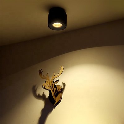 hotel home design dimmable Anti glare cob surface mounted COB LED lights Downlight supplier