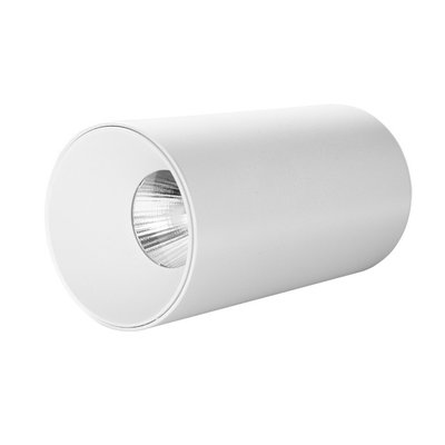 Led Decorative Spot Light Black 15W COB Surface Mounted Downlight Led Ceiling Lamp supplier