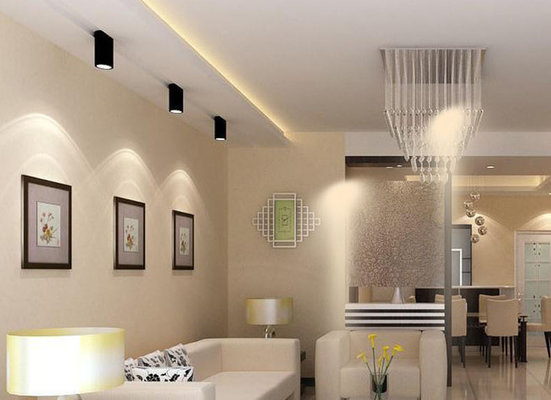 Led Decorative Spot Light Black 15W COB Surface Mounted Downlight Led Ceiling Lamp supplier