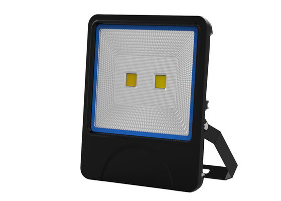 100W COB Commercial LED Flood Lights Different Color Housing Optioanl