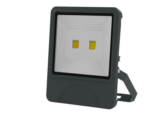 100W COB Commercial LED Flood Lights Different Color Housing Optioanl