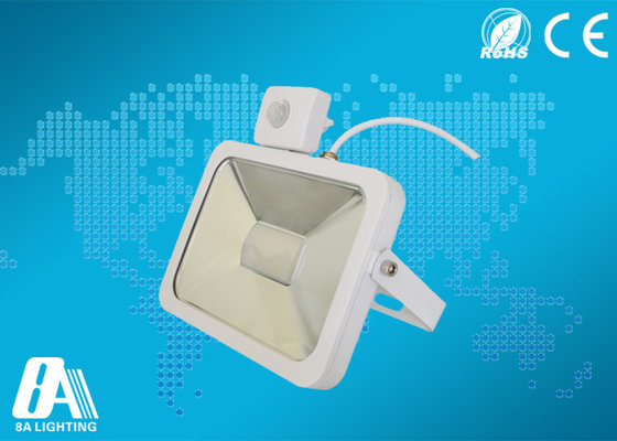 30Watt Portable Led Flood Light High Brightness Aluminum Housing With CE