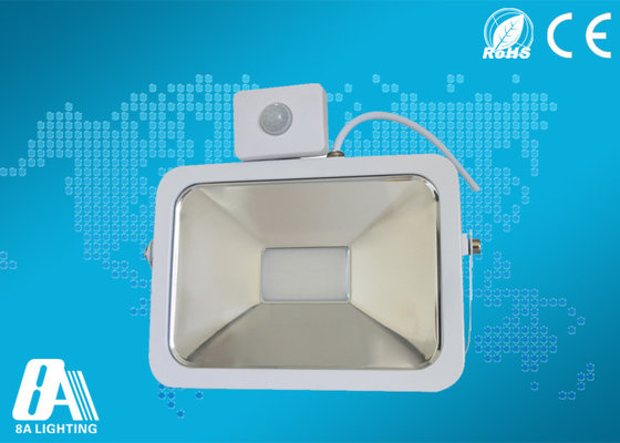 30Watt Portable Led Flood Light High Brightness Aluminum Housing With CE