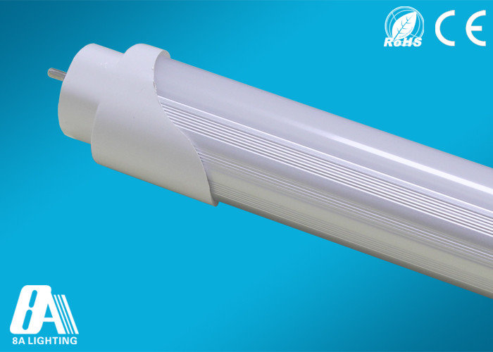 SMD 2835 10w LED Tube Lamps Led T8 Tube 600mm For School With CE And ROHS