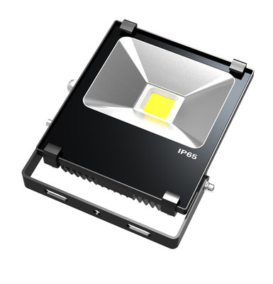 Alu6060 6500K Outdoor LED Flood Lights 20W Led Floodlight CRI 80Ra