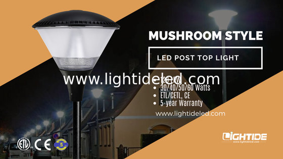 60 Watt Led Street Light Post Top LED Fixtures, 120 LPW & 5 Yrs Warranty supplier