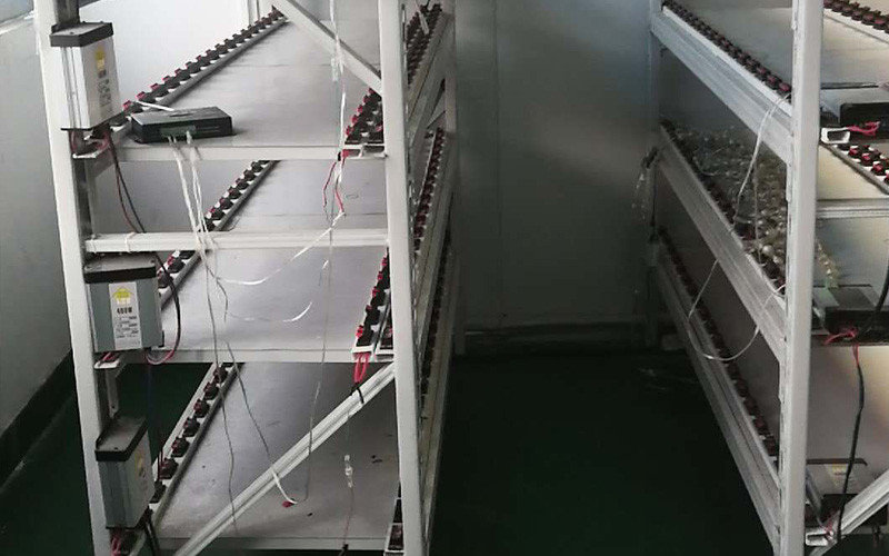 Shenzhen LZ LED Technology Co., Ltd. 제조업체 생산 라인