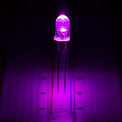 Clear Violet Led Through Hole Mount 460nm 30 Degree Viewing Angle 26-28mm Legs Length