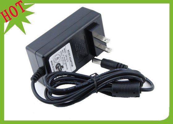 Laptop Wall Mount Adapters 24 Watt Output , Horizontal US Plug Standard