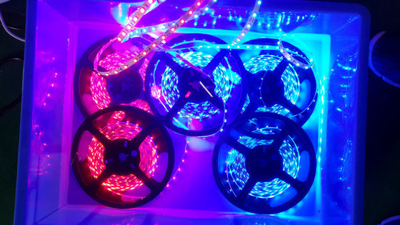 China High Brightness Flexible LED Strip 120 Degree For Landscape Lighting supplier