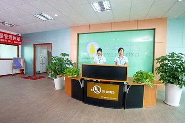 Shenzhen FY Lighting Co., Ltd.