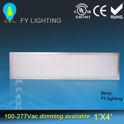 300mm * 1200mm Recessed Led Panel Light CE ROHS VDE  Listed