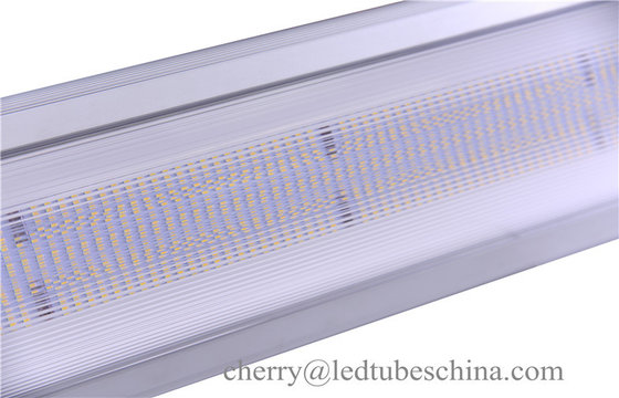 IP65 Tri-proof Led light  AC85 - 265V 5000 Lumen Max Meanwell Driver