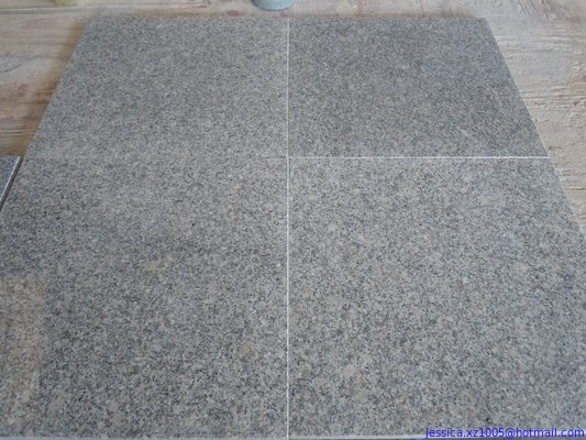 Hottest Cheapest Grey Granite,Polished/Flamed/Honed G602 Granite Tile & Paving