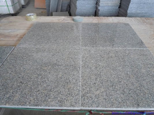 Hottest Cheapest Grey Granite,Polished/Flamed/Honed G602 Granite Tile & Paving