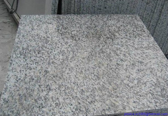 Top Quality Tiger White Granite/Chinese Tiger White Tiles Hottest Products