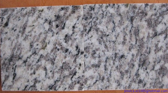 Top Quality Tiger White Granite/Chinese Tiger White Tiles Hottest Products