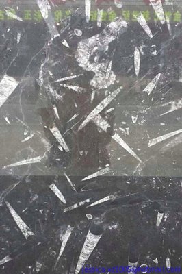 New Product Popular Granite-- Jurassic Green Polished Granite On Selling