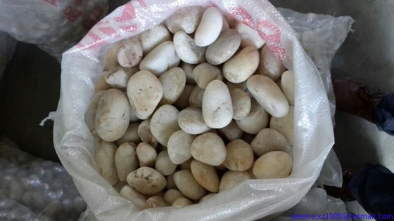 Popular&Hot Sales Natural Pebble Stone,White Pebble,Black Pebble,High Polished Pebble Stone