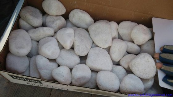 Hot Products Snow White Pebble Stone,Tumbled White Pebble & Natural Pebble Stone