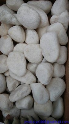 Hot Products Snow White Pebble Stone,Tumbled White Pebble & Natural Pebble Stone