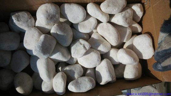 Hot Products Snow White Pebble Stone,Tumbled White Pebble & Natural Pebble Stone