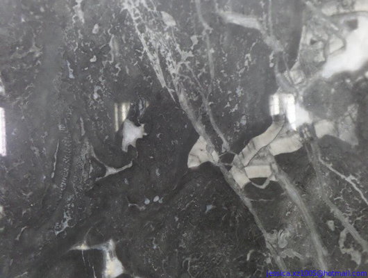 New Quarry Stone Grigio Carnico Marble Tile/Slab,Grey Marble,Marble Wall&Flooring,Grey Marble