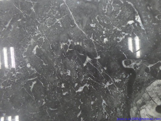 New Quarry Stone Grigio Carnico Marble Tile/Slab,Grey Marble,Marble Wall&Flooring,Grey Marble