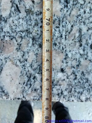 The cheapest Chinese Pearl Flower color Grey granite and G383 Granite tiles,Step,Slab