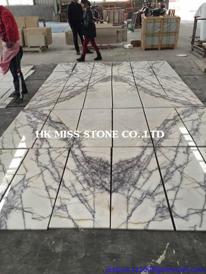 A Grade New York Marble slab from Project marble supplier Polished White Marble Tiles, New York White Marble