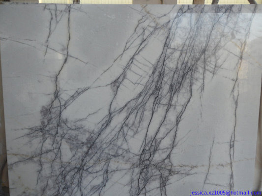 A Grade New York Marble slab from Project marble supplier Polished White Marble Tiles, New York White Marble