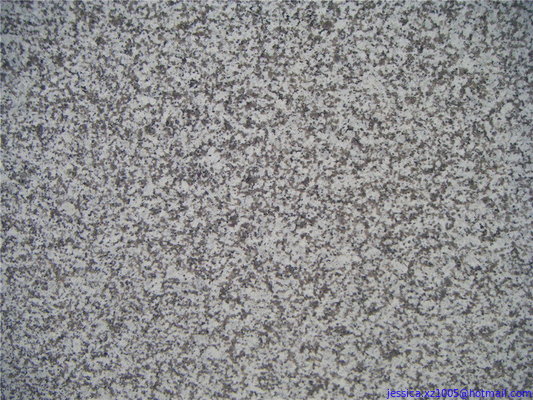 Factory Pictured Certification Flamed/Polished G439 Granite LX33/15 cm X2/3cm for Stair steps