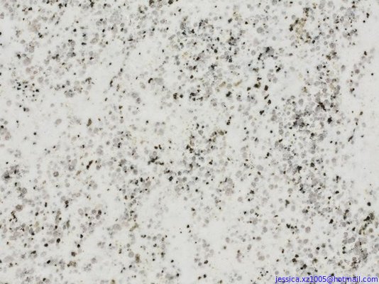 Regular Specification White Plateau Snow Granite Kitchen Wall Living Room Floor Tile