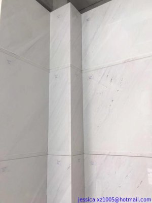 Wholesale Bianco Dolomiti Marble,Bianco Dolomiti White Marble,Pure White Marble