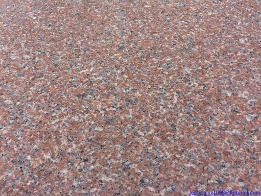 Wholesale Natural Chinese Wall Cladding Peninsula Red Granite, G386 Red Granite Slab