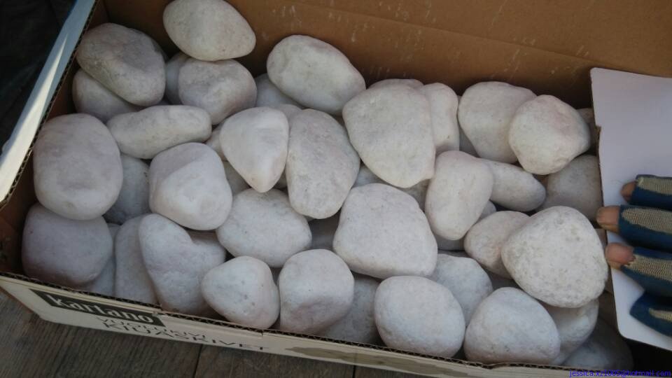 Hot Products Snow White Pebble Stone,Tumbled White Pebble & Natural Pebble Stone