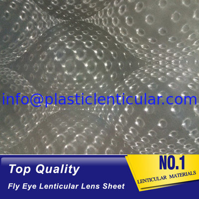 latest fly eye lens film good quality PP 3d fly eye lenticular lens sheet microlens with 3d and 360 degrees