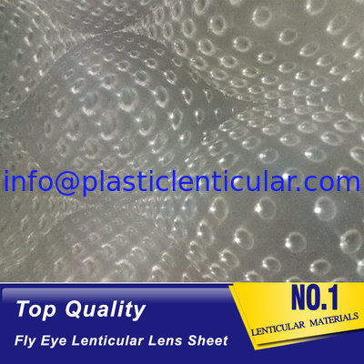 latest fly eye lens film good quality PP 3d fly eye lenticular lens sheet microlens with 3d and 360 degrees