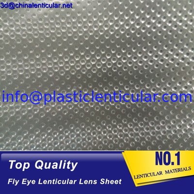 new fly eye lens lenticular film lens sheet both sides dot 3d lens sheet fly eye lenticular material