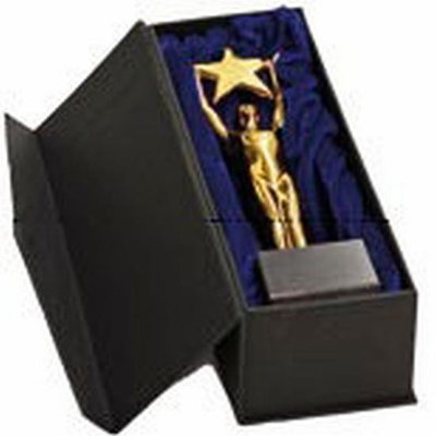 custom hinged trophy packaging gift box with window  luxury commemoration coin gift box