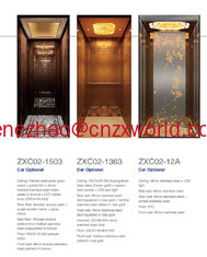 China Villa elevator ZXC02-1503, ZXC02-1363, ZXC02-12A supplier