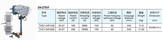 100A 200A Outdoor Porcelain Cutouts with arc 24 kV - 27 kV