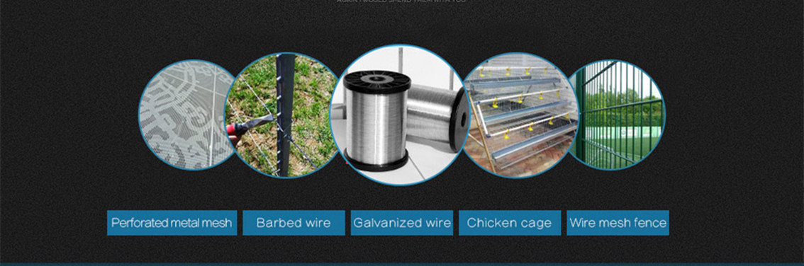 squire wire mesh