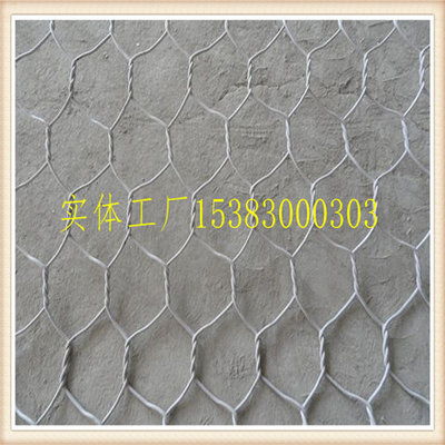 Pvc Coated Chicken Wire Mesh Hexagonal Wire Netting 2-3.5mm Wire Gauge