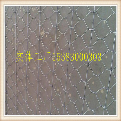 Pvc Coated Chicken Wire Mesh Hexagonal Wire Netting 2-3.5mm Wire Gauge