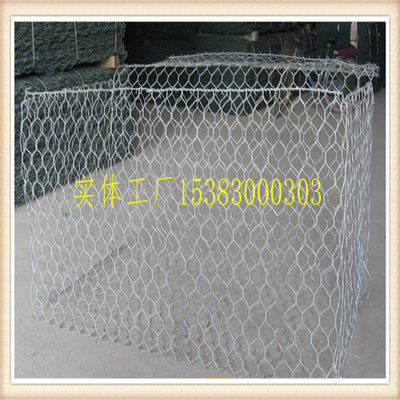 Pvc Coated Chicken Wire Mesh Hexagonal Wire Netting 2-3.5mm Wire Gauge