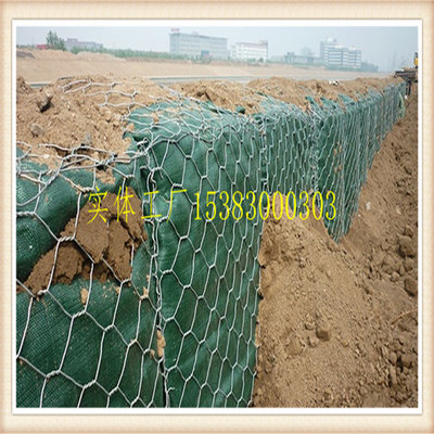 Pvc Coated Chicken Wire Mesh Hexagonal Wire Netting 2-3.5mm Wire Gauge