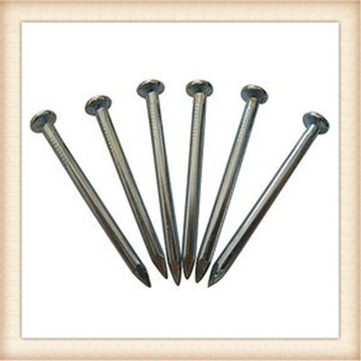 concrete nail/common nail/nail