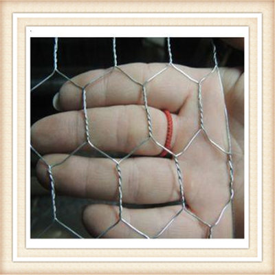 Manufacturer Wire Mesh Gabion Box/Hot Dipped Galvanized Gabion Box