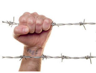 Galvanized Barbed wire